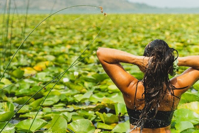 1-hour Kayak Adventure through Skadar Lake from Virpazar - Discovering Skadar Lake: An Authentic Kayaking Experience