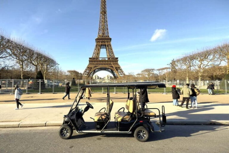 1 Hour Paris Landmarks Tour with Professional Guide - What Travelers Say