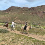 1 hour relaxing horse riding tour in Gran Canaria - The Itinerary: What Does a Typical Ride Look Like?