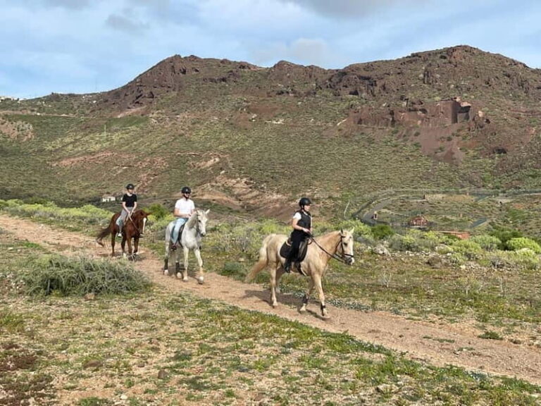 1 hour relaxing horse riding tour in Gran Canaria - The Itinerary: What Does a Typical Ride Look Like?