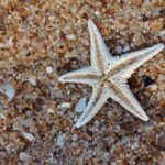 1 or 2 Hour Speed Boat Tour - Ria Formosa - Final Thoughts