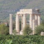 1. Wine Tour Nemea: The Lion of Nemea - Detailed Breakdown of Stops