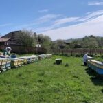 10 hours Private Apiary Tour in Romania - From Bucharest - FAQs