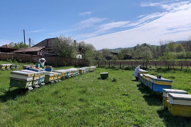 10 hours Private Apiary Tour in Romania - From Bucharest - FAQs