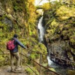 10 Lakes Winter Scenic Tour - Expert Guide - Photo Stops - Magnificent Locations - Why This Tour Offers Great Value