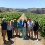 11 Course Lunch, Wine Tasting & Cooking Mastery in Rhodes - The Itinerary: What to Expect from This Rhodes Foodie Tour