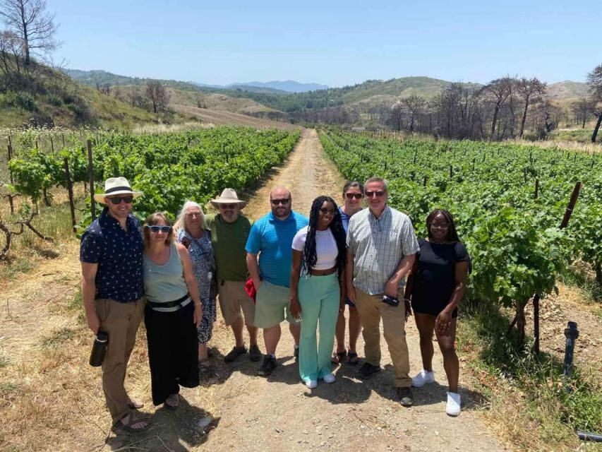 11 Course Lunch, Wine Tasting & Cooking Mastery in Rhodes - The Itinerary: What to Expect from This Rhodes Foodie Tour