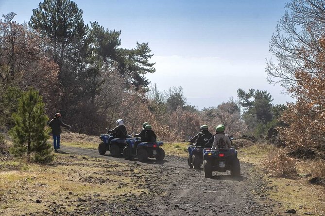 1 1/2 - 2 Hours Guided Excursion of Etna by Quad - Who Should Consider This Tour?