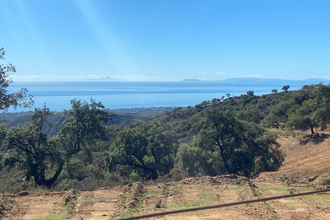 1 Hour Buggy Tour Off-Road Adventure in Mijas - What to Expect from the Off-Road Adventure