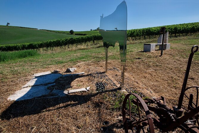 1-Hour Experience with Brunello. Visit to the Vineyard and Cellar - In-Depth Look at the Experience