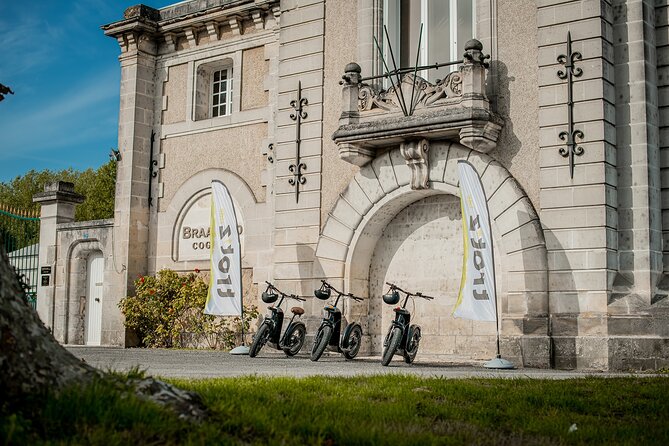 1 hour walk - The Gabarres river route - A Closer Look at the Gabarres River Route Tour