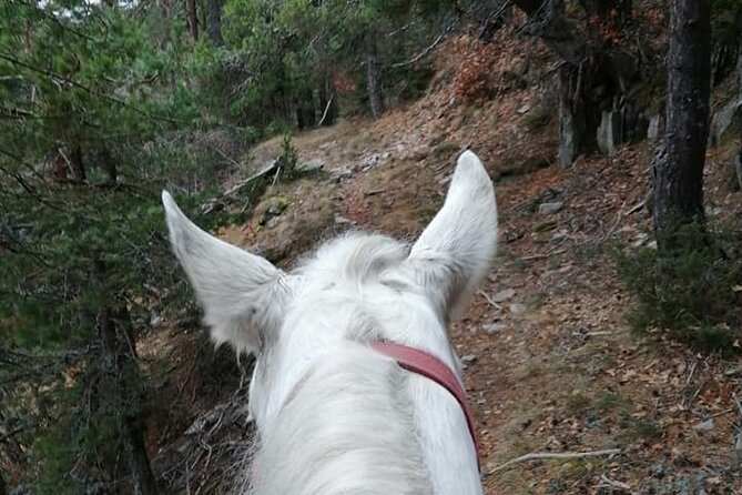 1 Hour Waterfalls Canyon Private Horse Riding in Smolyan - The Experience of a Private Tour