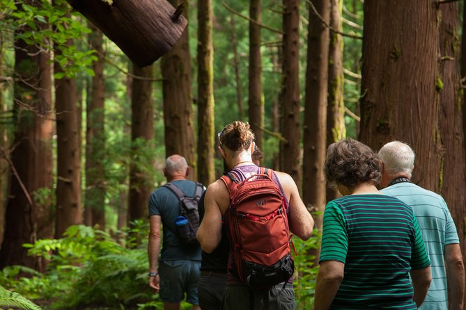 10 Volcanos hiking private tour in Faial - What to Expect on the 10 Volcanoes Trail