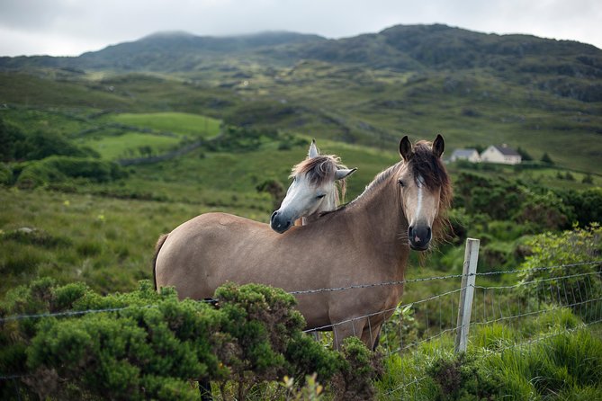 2-Day Connemara and Galway Bay Rail Tour from Dublin - Why Youll Love This Tour