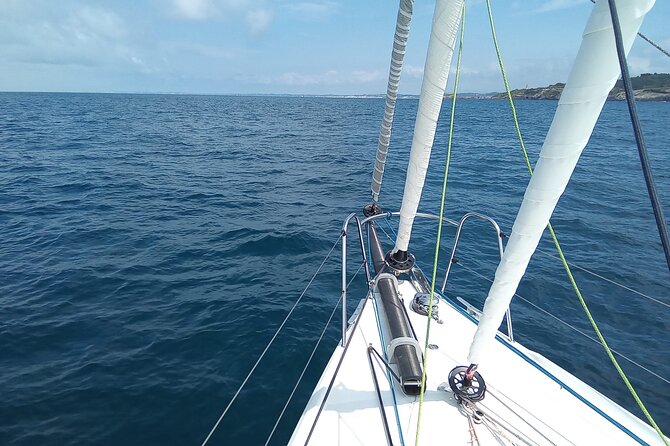 2 h Privated Sail Sebastian Tour or Sunset - A Closer Look at the Sail Sebastian Tour Experience
