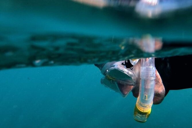 2-Hour Afternoon Snorkeling Experience in Gran Canaria by Boat - Detailed Review of the Snorkeling Tour