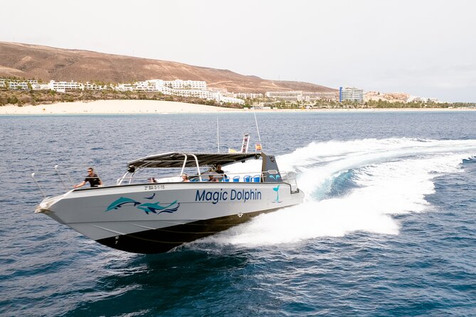 2-Hour Dolphin Watching Experience in Fuerteventura - Authentic Encounters and Community Feedback