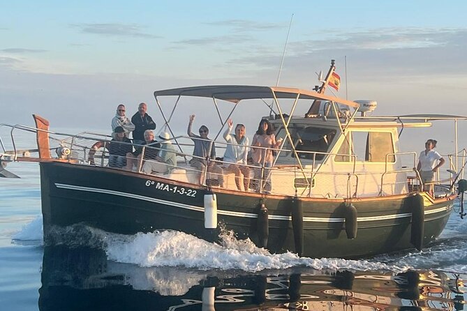 2-hour excursion in search of dolphins/drinks and snacks - Key Points