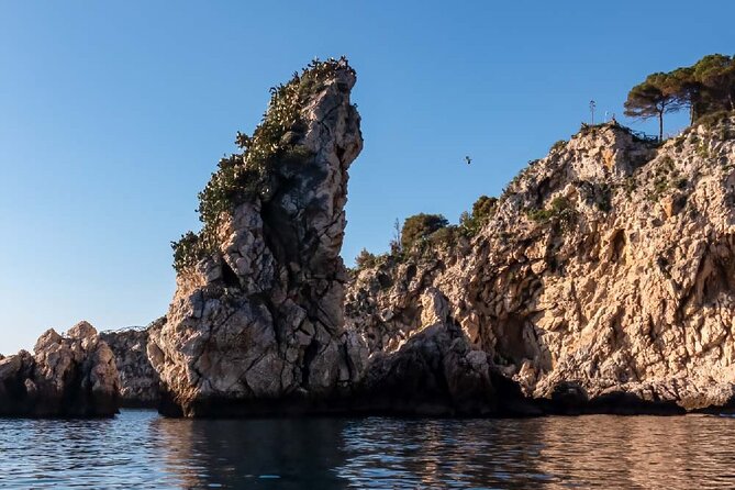 2 Hour Sunset Dolphin Watching Shared Tour in luxury boat - What Makes This Tour Stand Out?