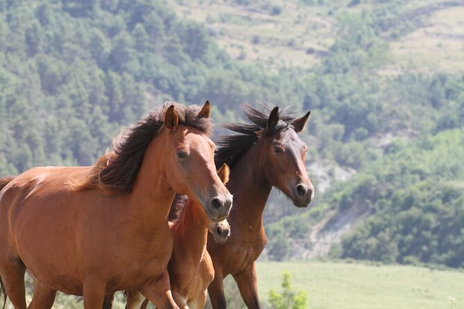 2-Hours Guided Drino's Valley Ride - An In-Depth Look at the Experience