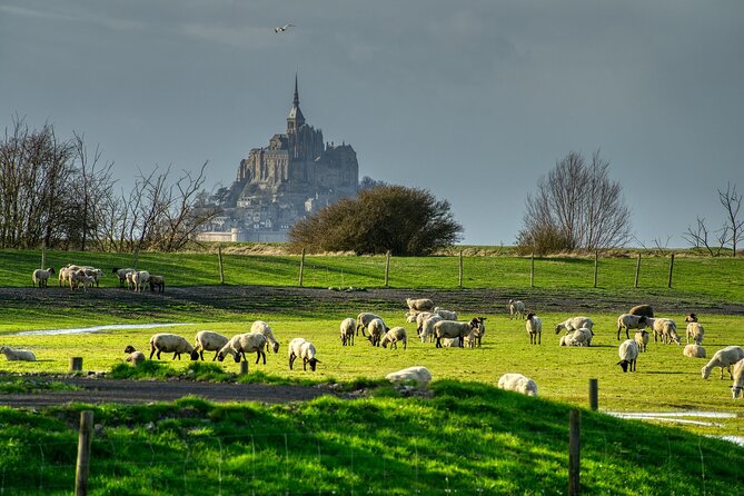 2 Hours Private Walking Tour of Mont Saint Michel - A Deep Dive into the Experience