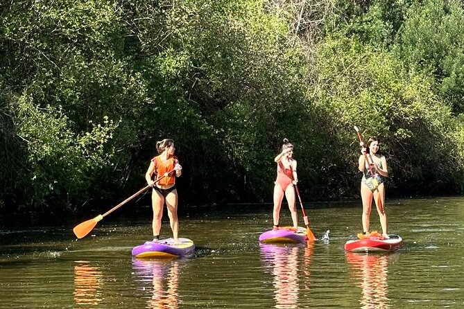 2 Hours SUP Activity on Arda River - Key Points