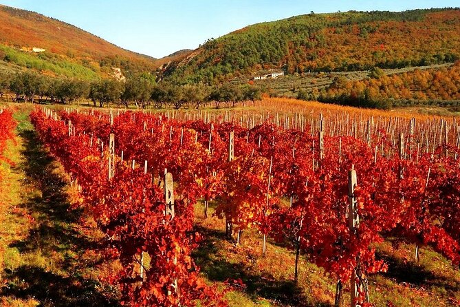 3-Day Private Tuscany Tour from Florence: Wine & Hilltop Towns - Day 2 — The Chianti Charm & San Gimignano
