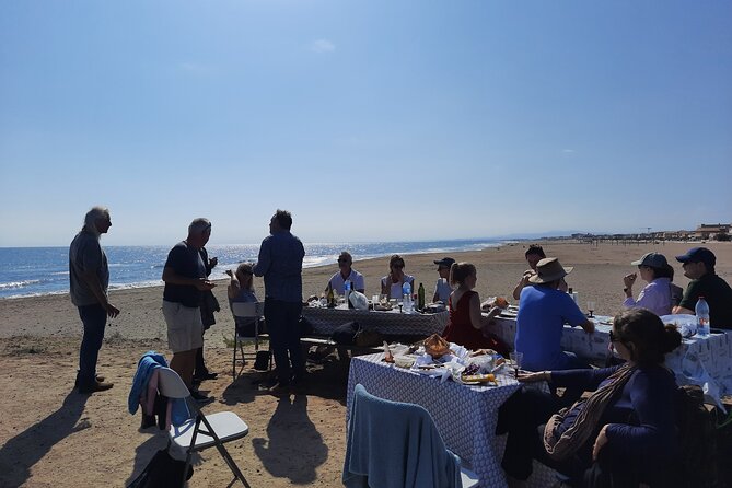 3 Day Wine Tasting Tour in Languedoc - Discovering the Details of the 3-Day Languedoc Wine Tour