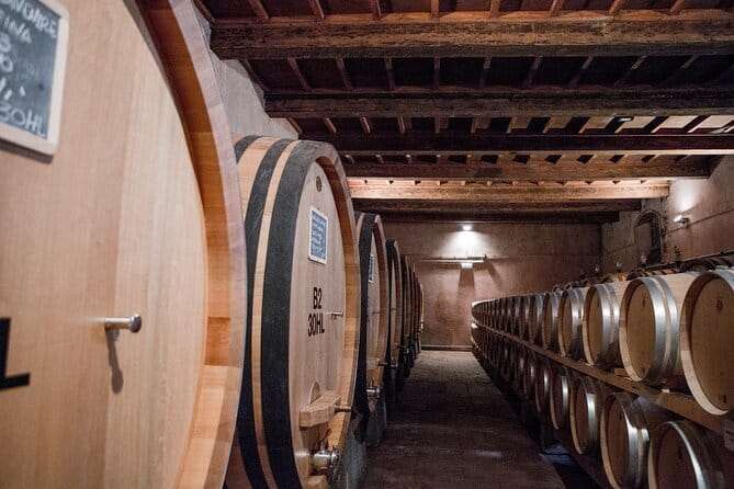 3 Hour Horse Ride to a Castle for Wine Tasting and snack Lunch - Exploring Tuscany on Horseback: What You Can Expect