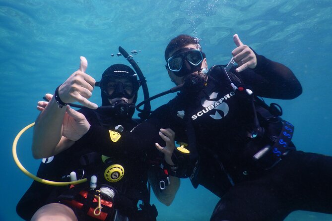 3 Hour Private Scuba Diving Experience - Authentic Experiences and Customer Feedback