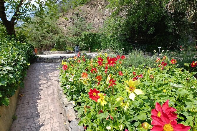 3 Hour Walking Tour in Tbilisi - Why This Tour Matters for Your Tbilisi Visit