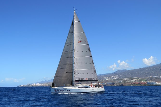 3 Hours All Inclusive Whale and Dolphin Whatching Yacht Trip - Key Points