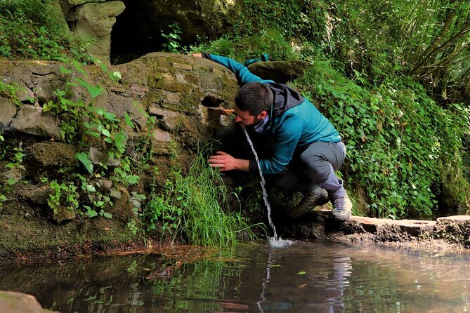 3 Hours Hiking On The Via Sacra Romana Between Lakes Nature And Pasta - A Guided Walk Through History and Nature