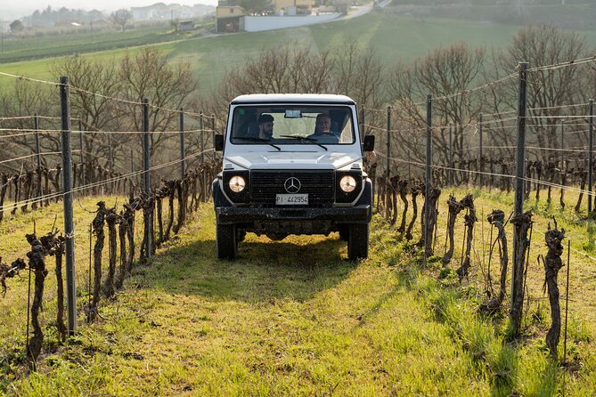 3-Hours of Activities with Safari Grand Tour and Tasting in Vineyards - Visiting the Historic Cellar
