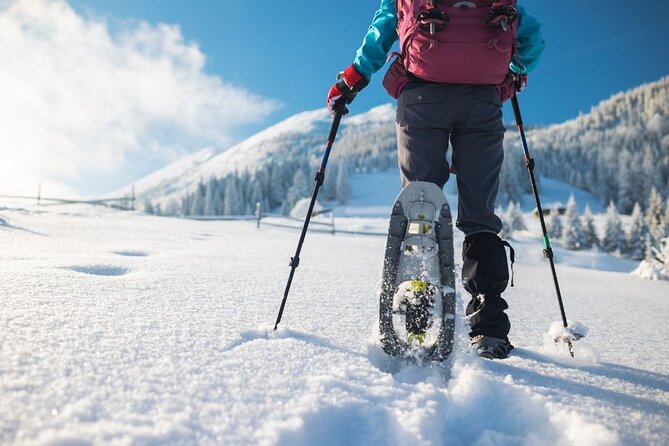 3 Hours of Snowshoeing with Alpine Guide in Val Brembana - Detailed Breakdown: What You Can Expect on Your Snowshoeing Day