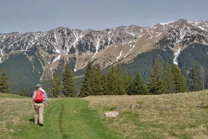 4-Day Carpathian Trek: Bucegi Mountains and Piatra Craiului National Park - What Makes This Tour Stand Out?