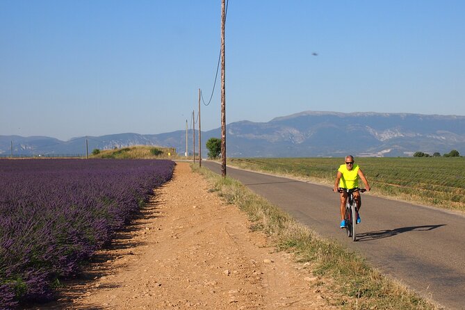 4-Hour Lavender Fields Tour in Valensole from Aix-en-Provence - Key Points