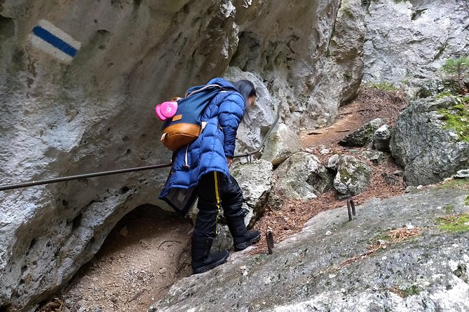 4-Hour Private Alpine Great George at High Wall Mountain from Vienna - The Value of This Experience
