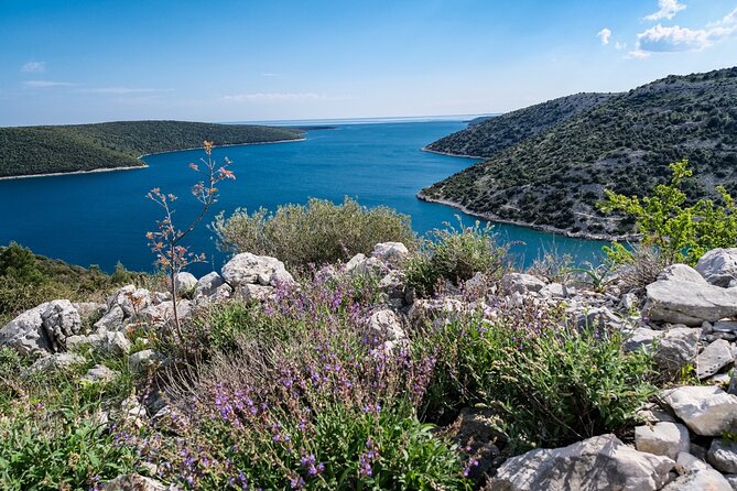 4-hour private boat tour: Discover the beauties of Istria - A Detailed Look at the Istrian Coast on a Private Boat