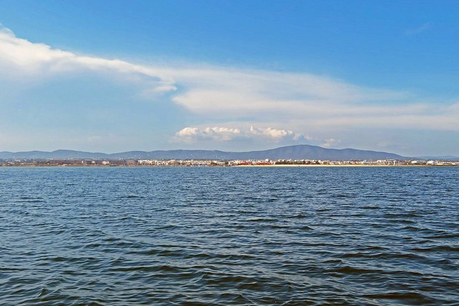 4-Hour Private Boat Tour in Ria Formosa - Final Thoughts