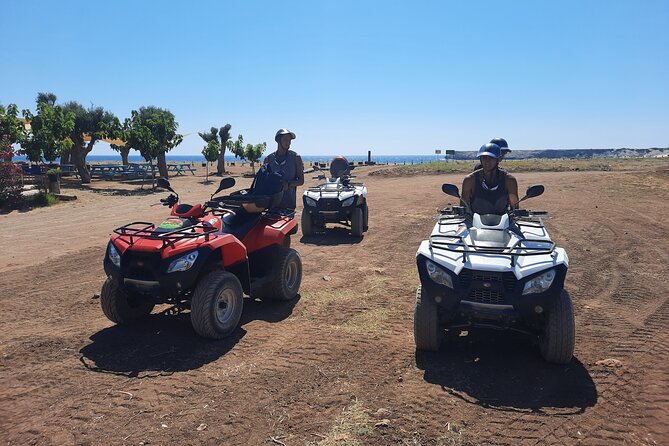 4 hour Quad & Buggy Safari Akamas(lara Bay) & Adonis Falls - Detailed Breakdown of the Itinerary