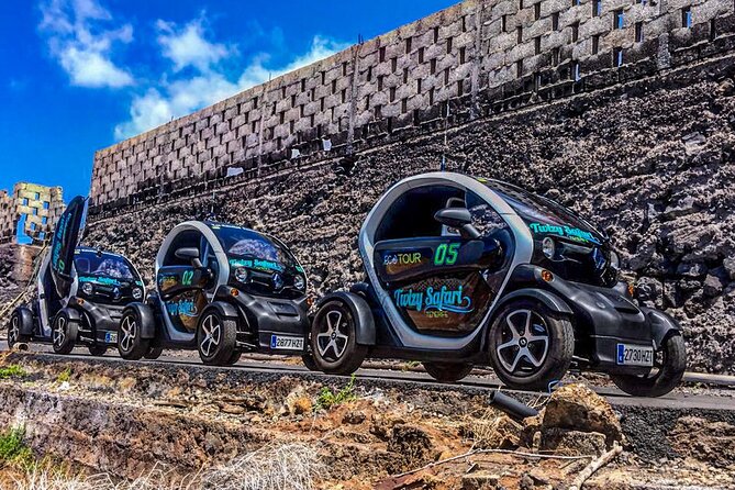 4 Hours Eco Safari Tour with Electric Car in Tenerife - Practical Details You Need to Know