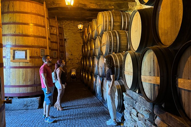 4x4 Adventure in Douro: Wine Tasting, Boat Trip and Lunch - Key Points