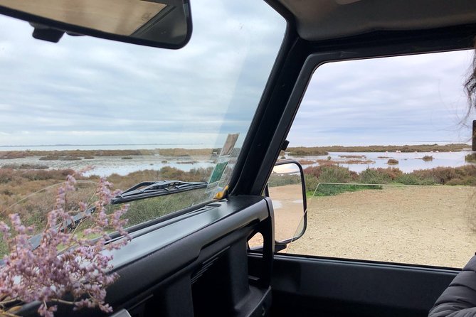 4x4 Camargue Safari 4h - Departure from Arles - Discovering the Camargue in a 4x4: An Authentic Encounter with Nature