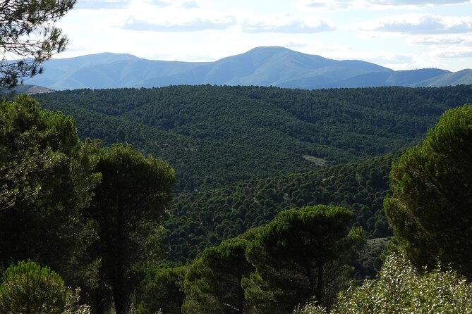 4x4 Granadilla. Minimum 4 people. - What’s Included in the Tour?