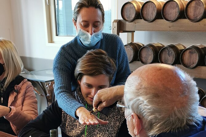 5-Hour Food and Wine Tasting in Modena - A Closer Look at the 5-Hour Experience in Modena