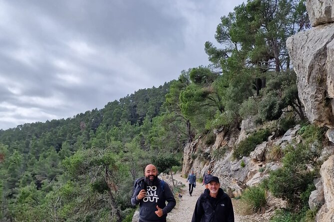 5 hours Mallorca hiking tour in Castell d Alaro - Pricing and Value