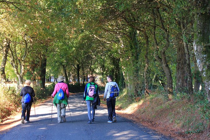 8-Day Camino Frances Pilgrimage Tour from Sarria to Santiago - 2nts Santiago - A Practical, Authentic Experience of the Camino