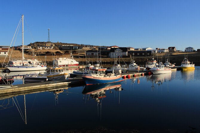 8 Day Winter Circle Tour, Ring Route of Iceland with Snæfellsnes Peninsula - What Travelers Really Think