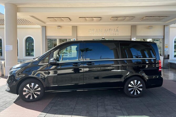 8-Hour Rental in a Luxury Car and Driver/Official Private Guide in Tenerife - The Experience in Detail